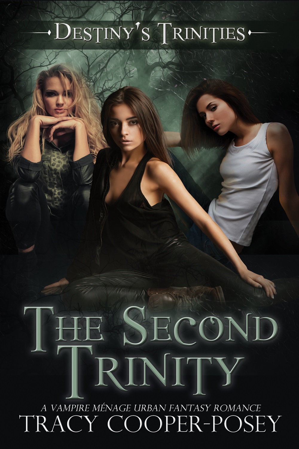 Beth’s Acceptance (Destiny’s Trinities 1.0) – Stories Rule Press