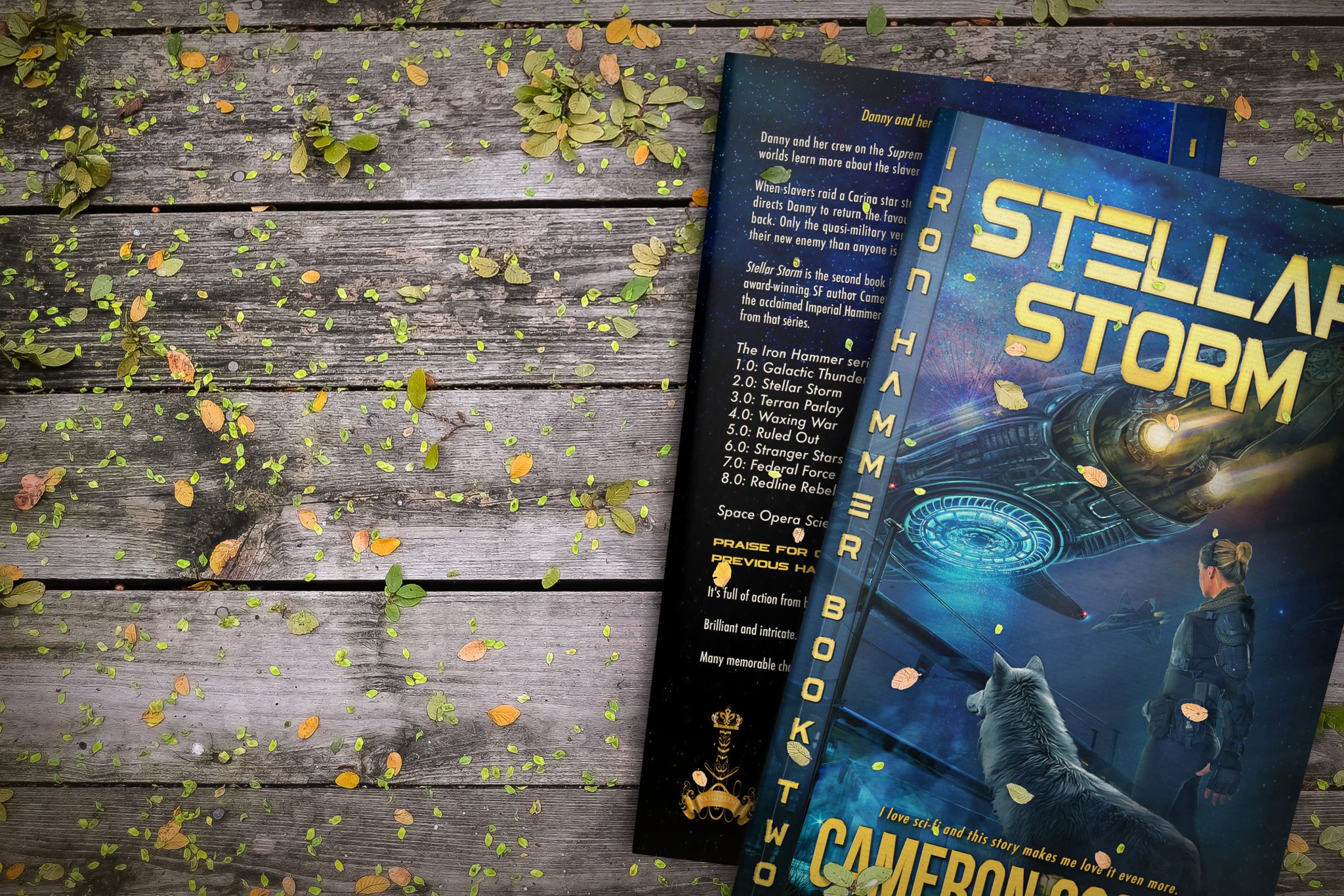 Stellar Storm (Iron Hammer 2.0) – Stories Rule Press