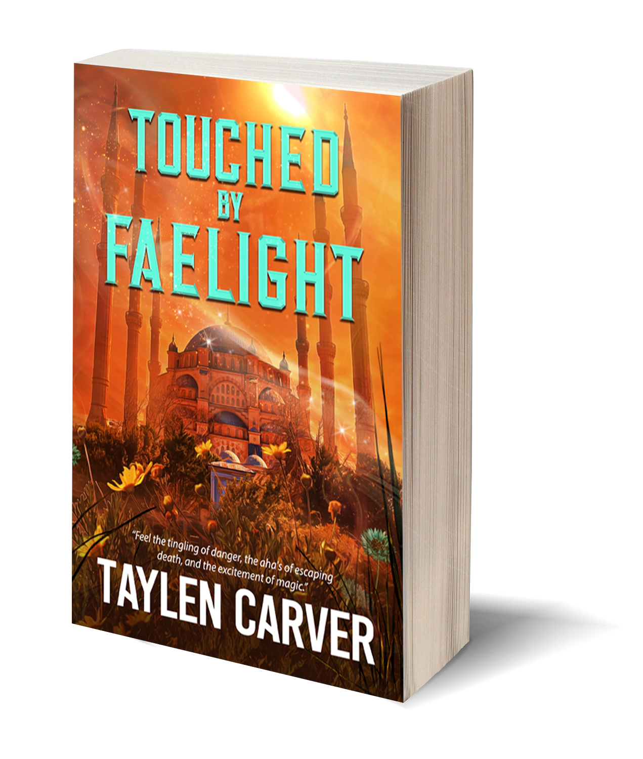 Touched by Faelight – Stories Rule Press