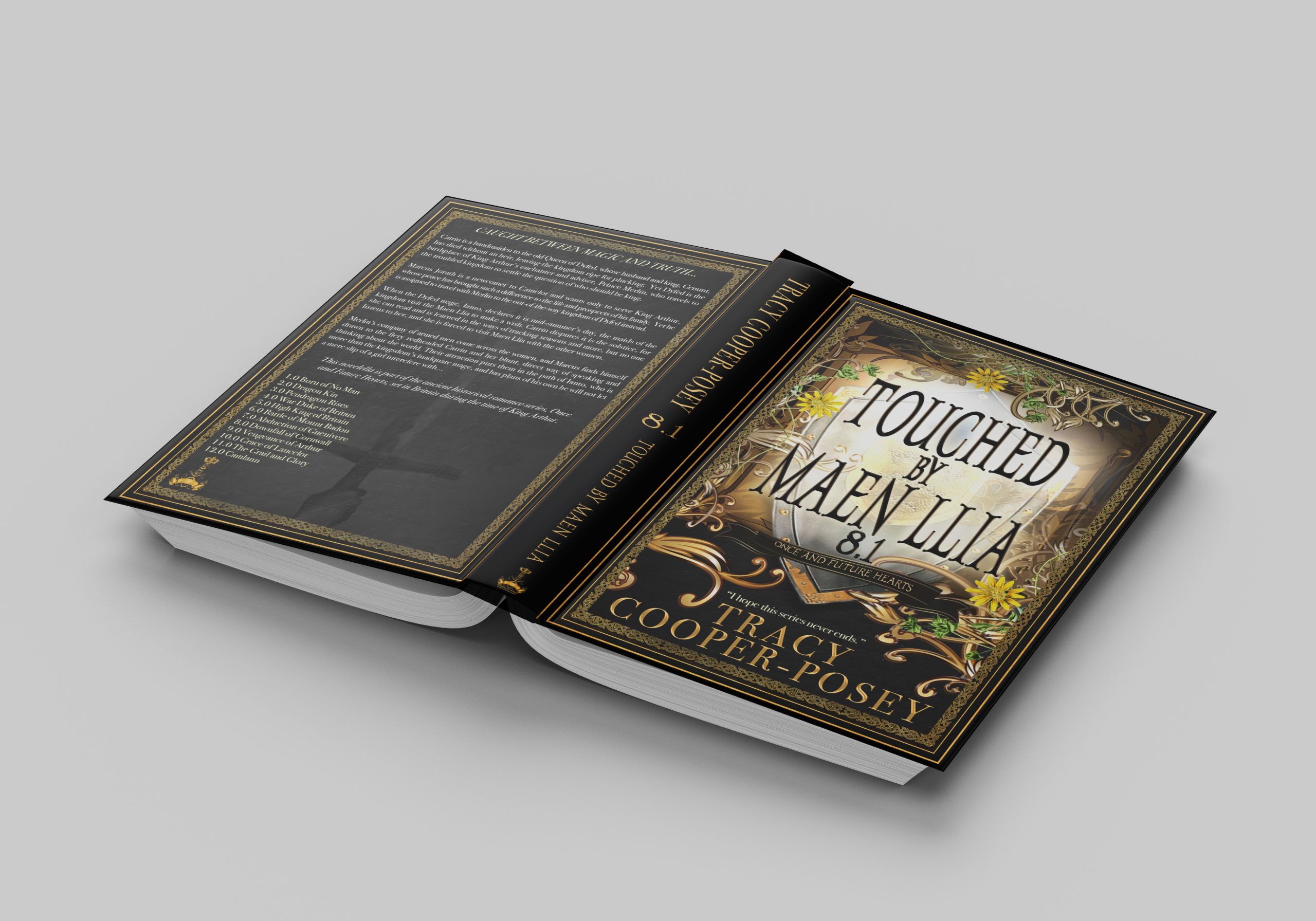 Touched by Maen Llia (Once and Future Hearts Book 8.1) – Stories Rule Press