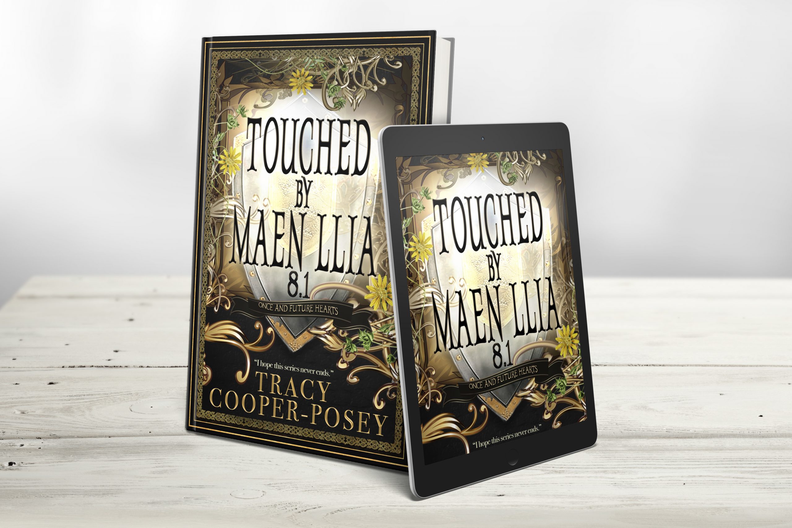 Touched by Maen Llia (Once and Future Hearts Book 8.1) – Stories Rule Press